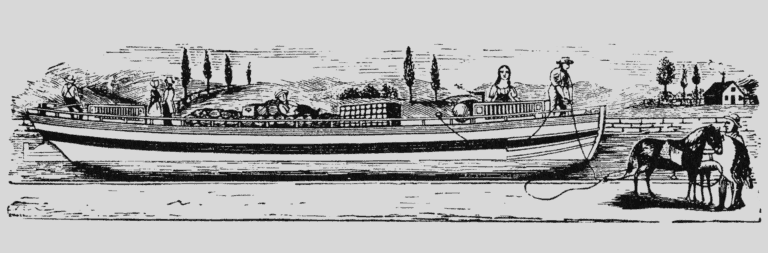 Horaires Tournefeuille - Utopia Toulouse